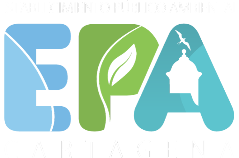 Mangle blanco – Catálogo de Biodiversidad de Cartagena